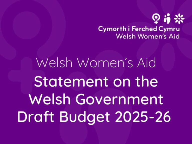 Statement on the Welsh Government Draft Budget 2025-26 : Welsh Women's Aid