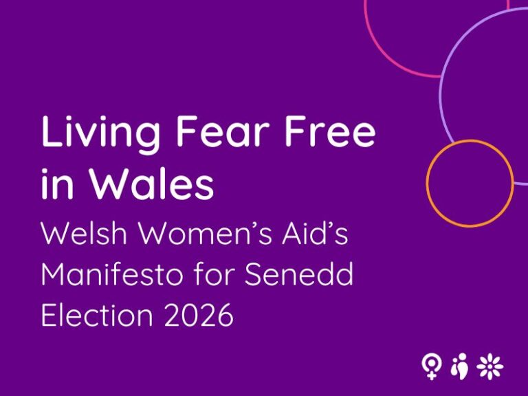 Welsh Women’s Aid publishes manifesto for Senedd 2026 Election : Welsh ...