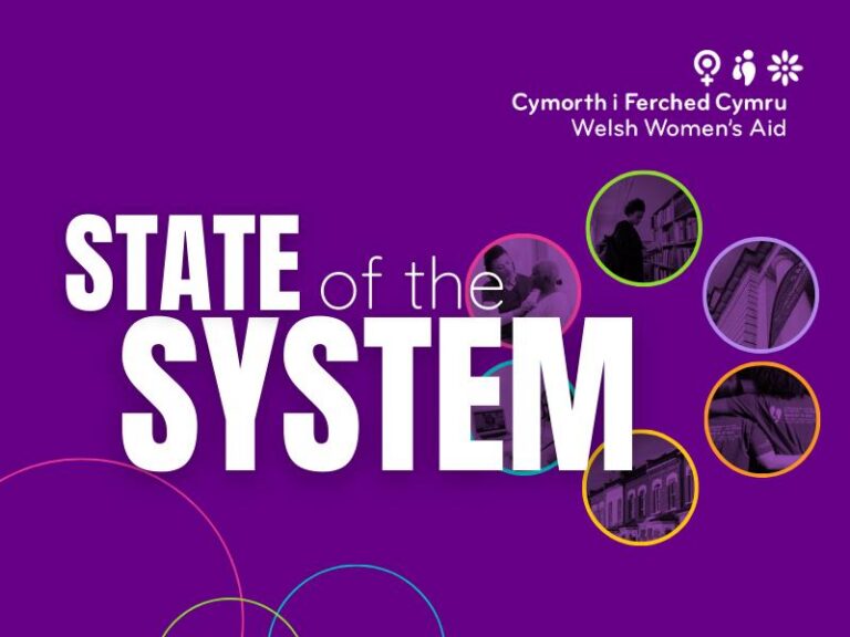 Welsh Women’s Aid’s yearly State of the Sector report is here! : Welsh ...